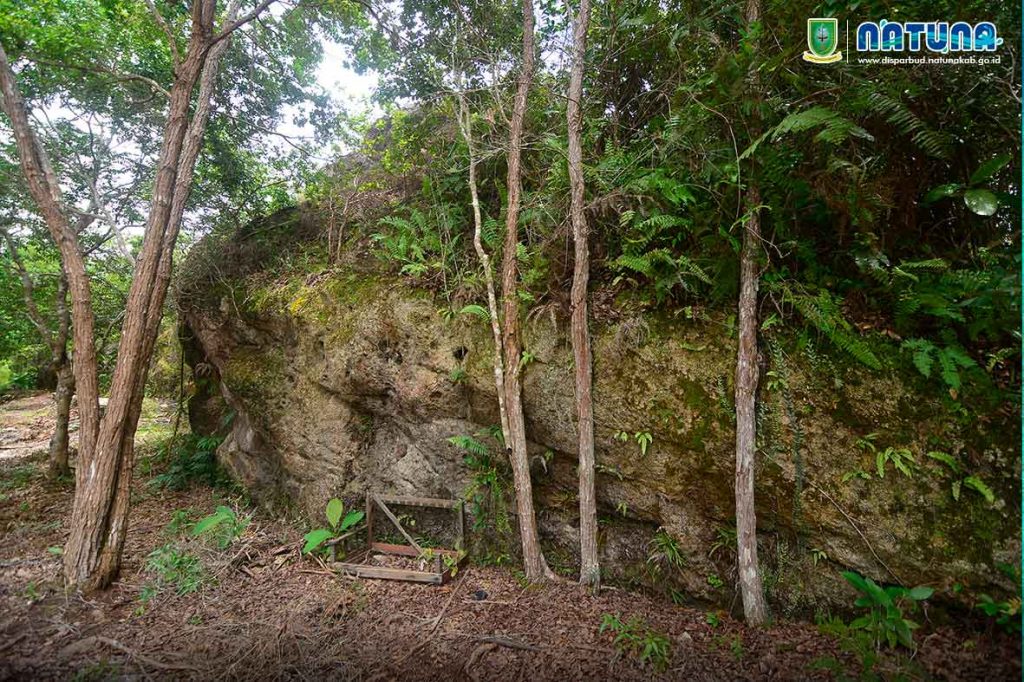 Tim Geopark Survey Potensi Geologi di Bunguran Tengah – GEOPARK NATUNA